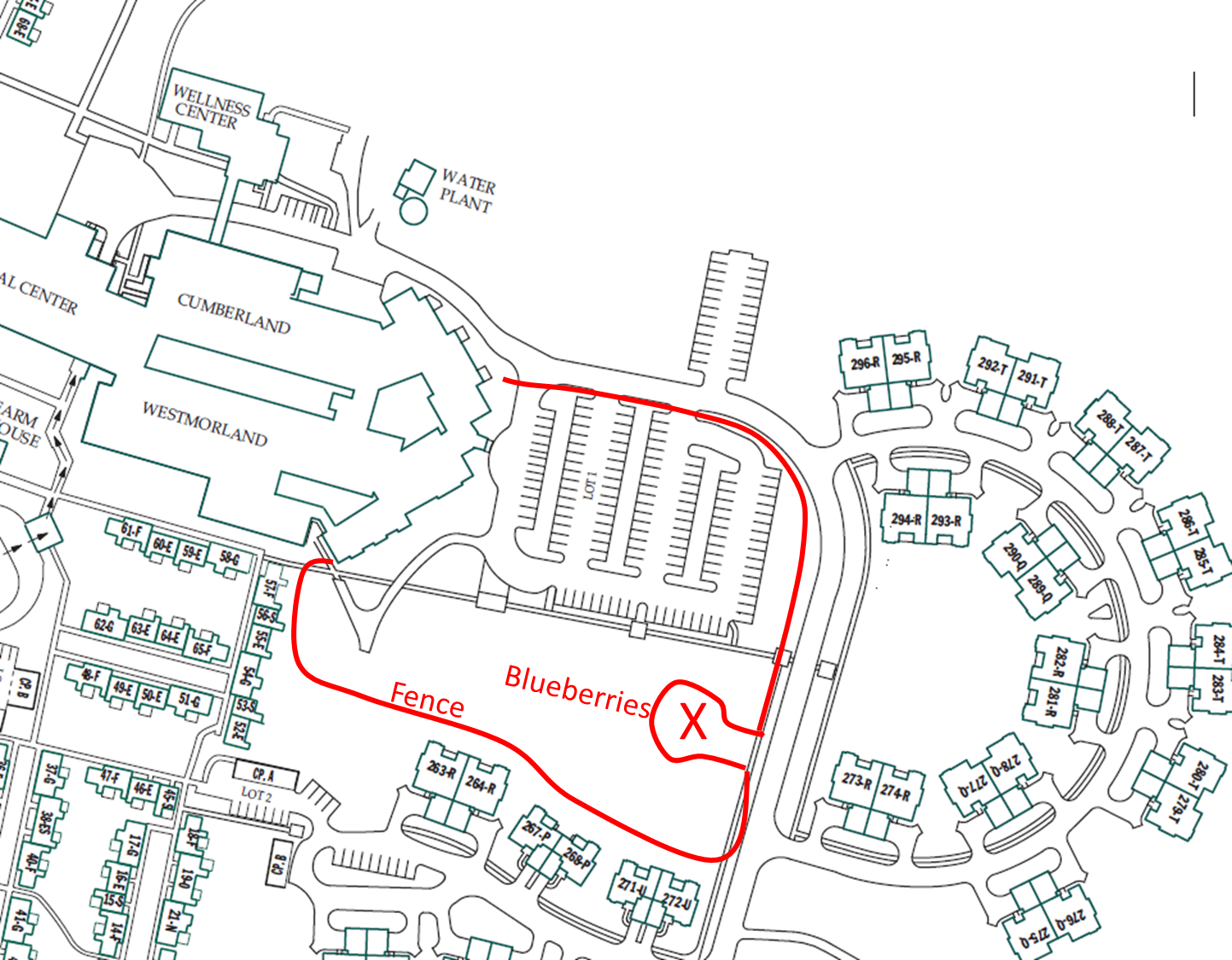 Don’t miss the blueberries! – On the Kendal Journey