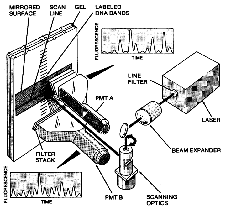 Two Kendal residents played a key (but almost unknown) role in decoding ...